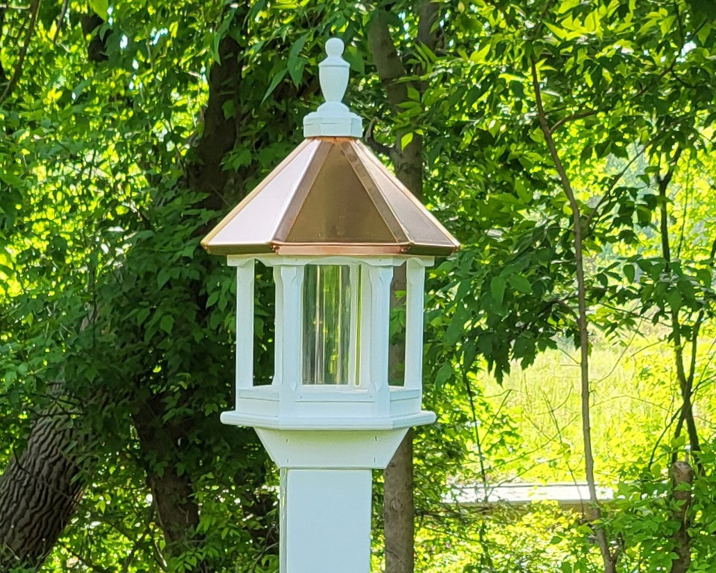 How Do Birds Find Bird Feeders? The Science Behind Their Behavior ...